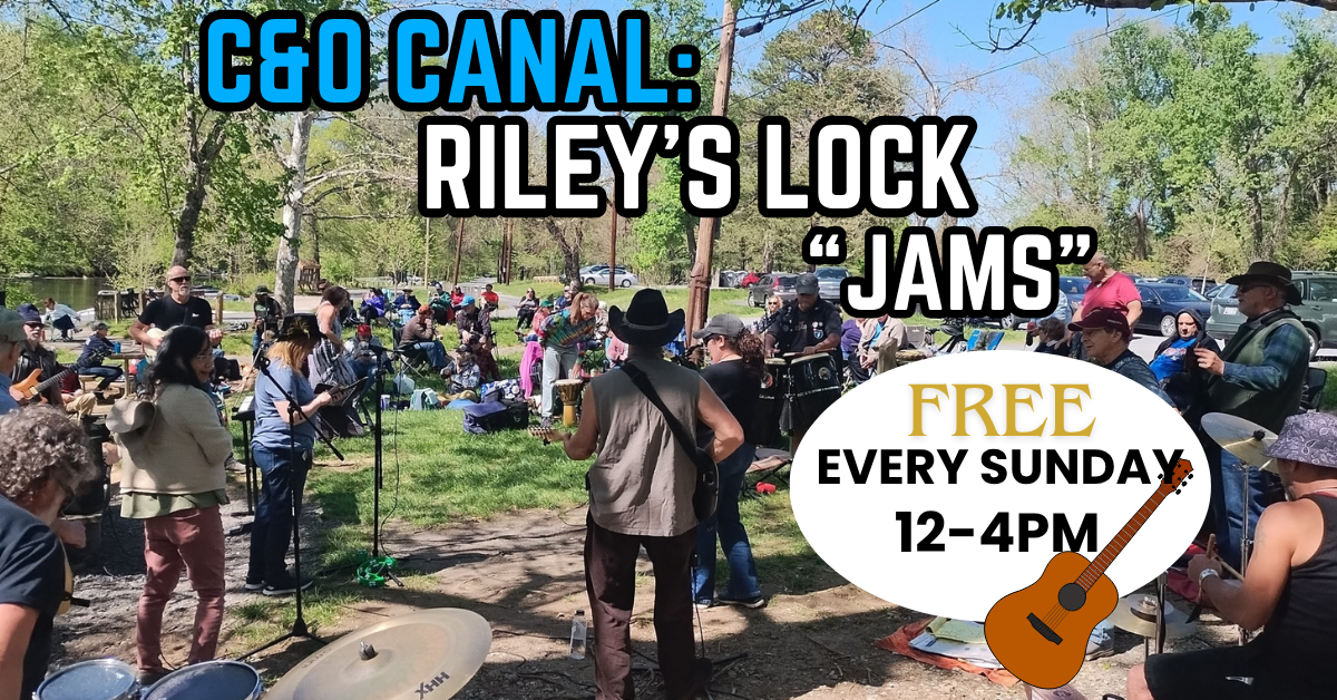 Riley’s Lock Jams: Music, Community, and Nature Come Together Every ...